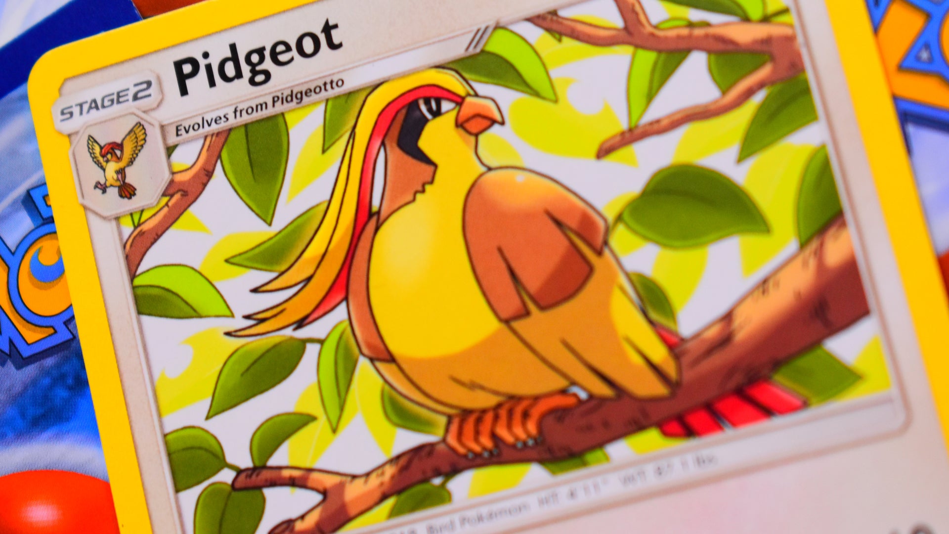 How to build a Pokémon TCG deck for beginners | Dicebreaker