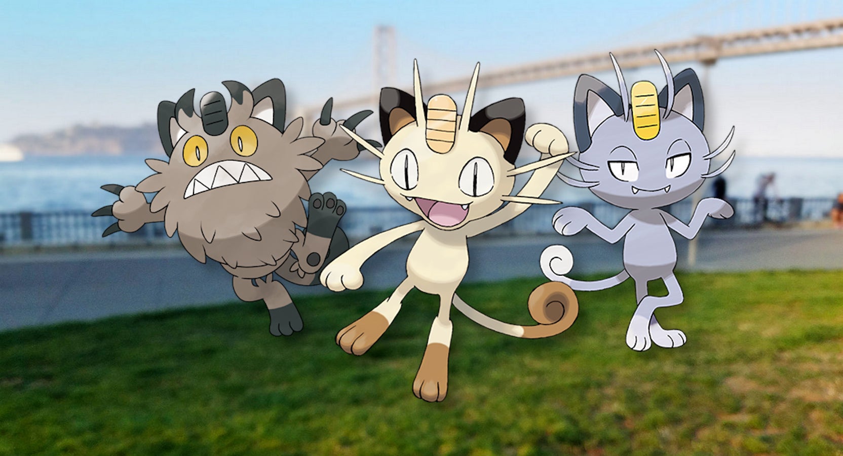 Pokémon Go: Begrenzte Forschung mit Mauzi - wie ihr sie löst, was sie ...