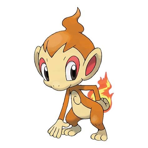 Shiny Chimchar Evolution