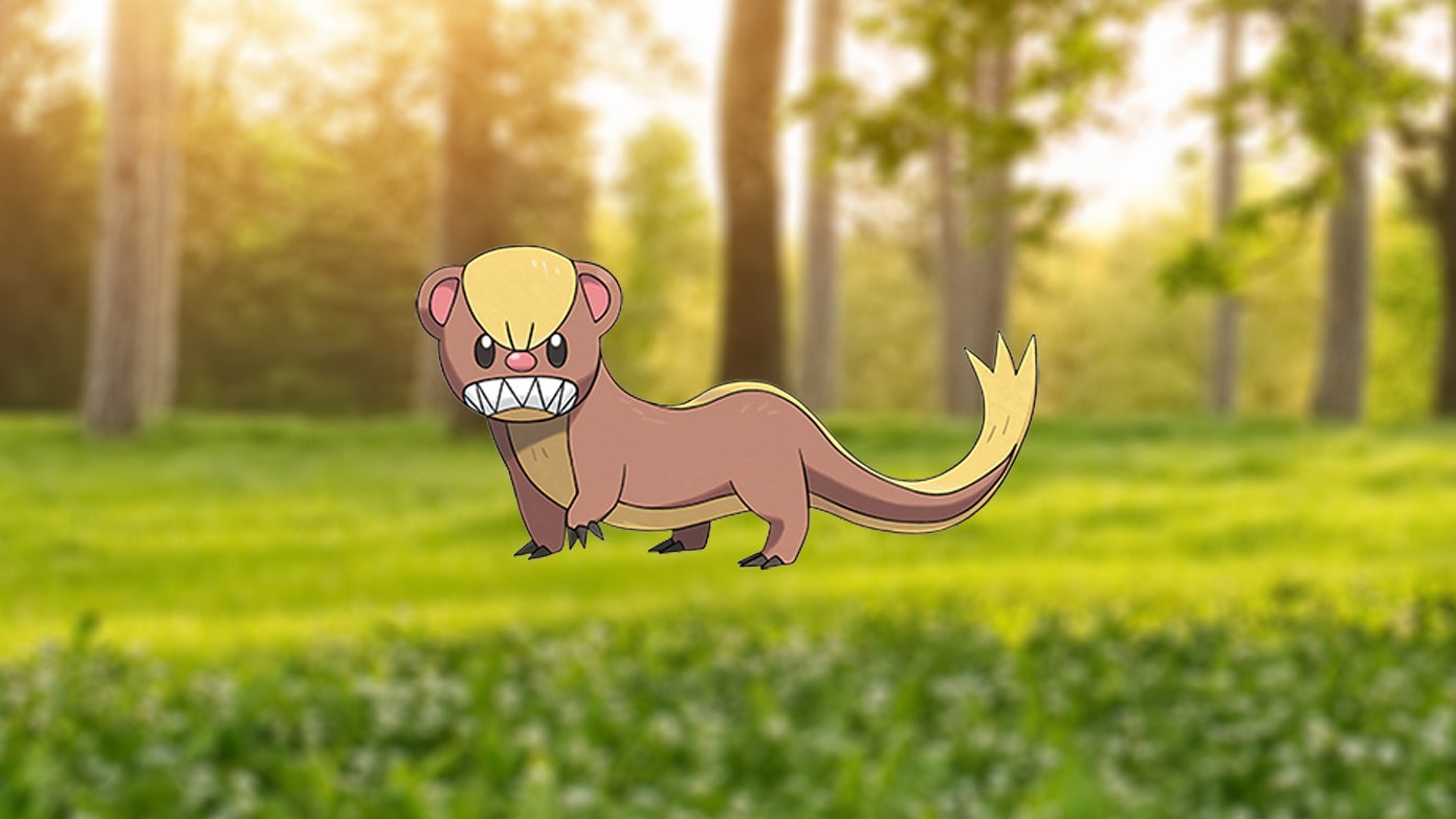 Yungoos 100% perfect IV stats, shiny Yungoos in Pokémon Go | Eurogamer.net