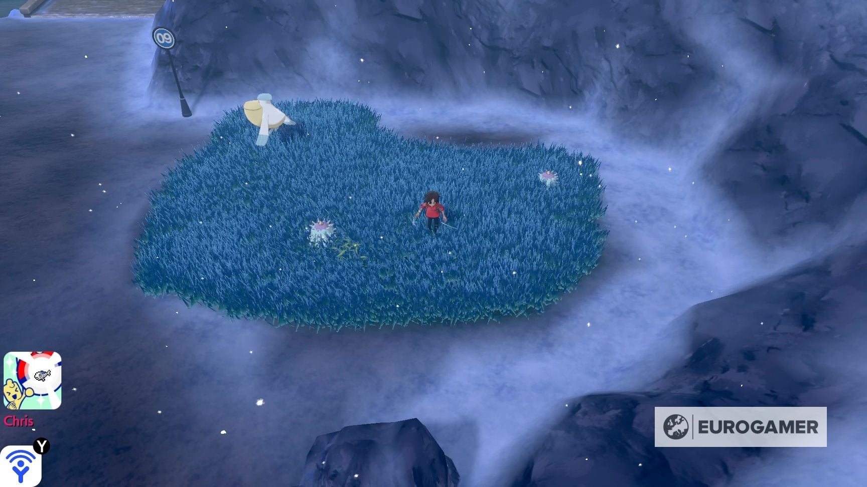 Pokémon Sword and Shield Route 9 and Circhester Bay - available Pokémon ...