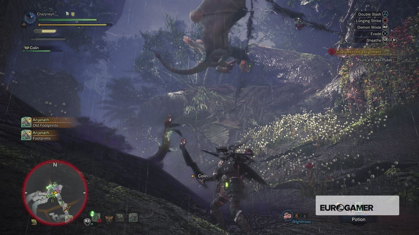 Monster Hunter World - Pukei-Pukei strategy, Pukei-Pukei weakness, and ...