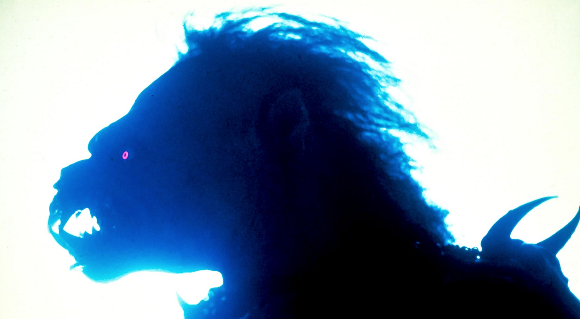 Six horror movies for St. Patrick's day (that aren't Leprechaun) | Popverse