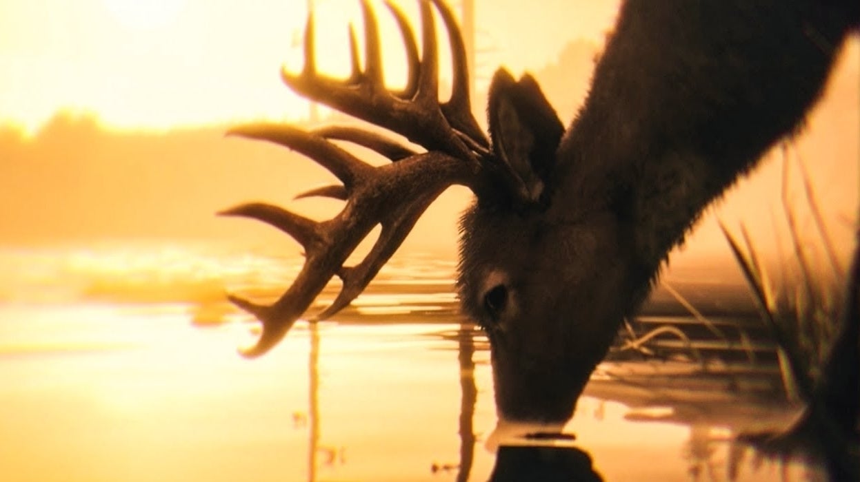 Red Dead Online now lets you transform into a deer | Eurogamer.net