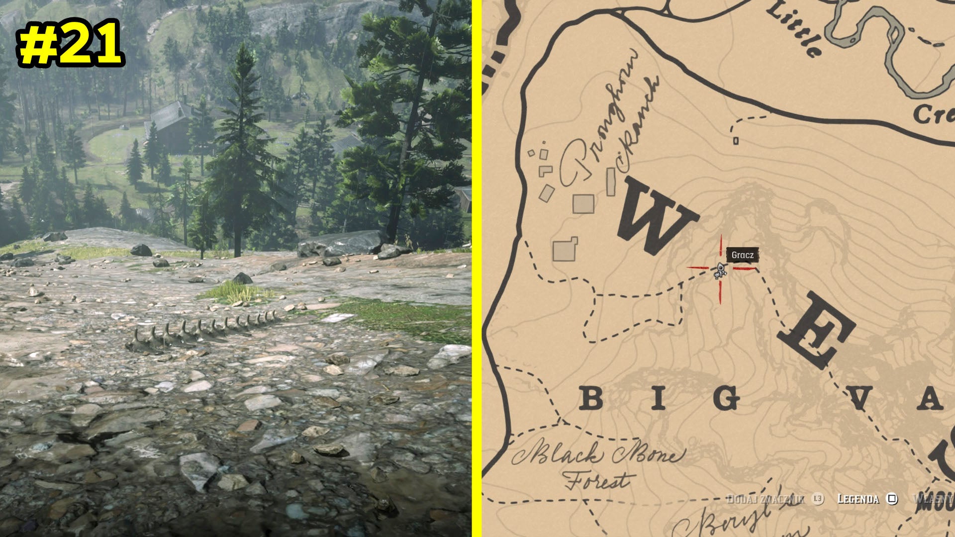 Red Dead Redemption 2 - kości dinozaurów (mapa): misja Próba wiary ...