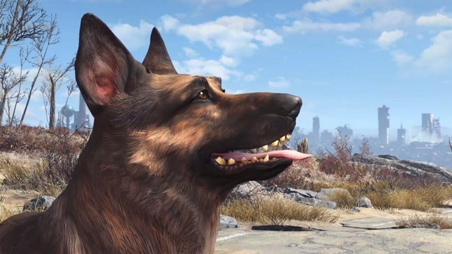 River, the real-life dog who inspired Dogmeat from Fallout 4, has ...