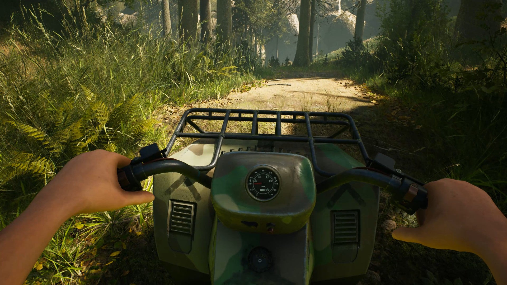 Morels: The Hunt | Rock Paper Shotgun