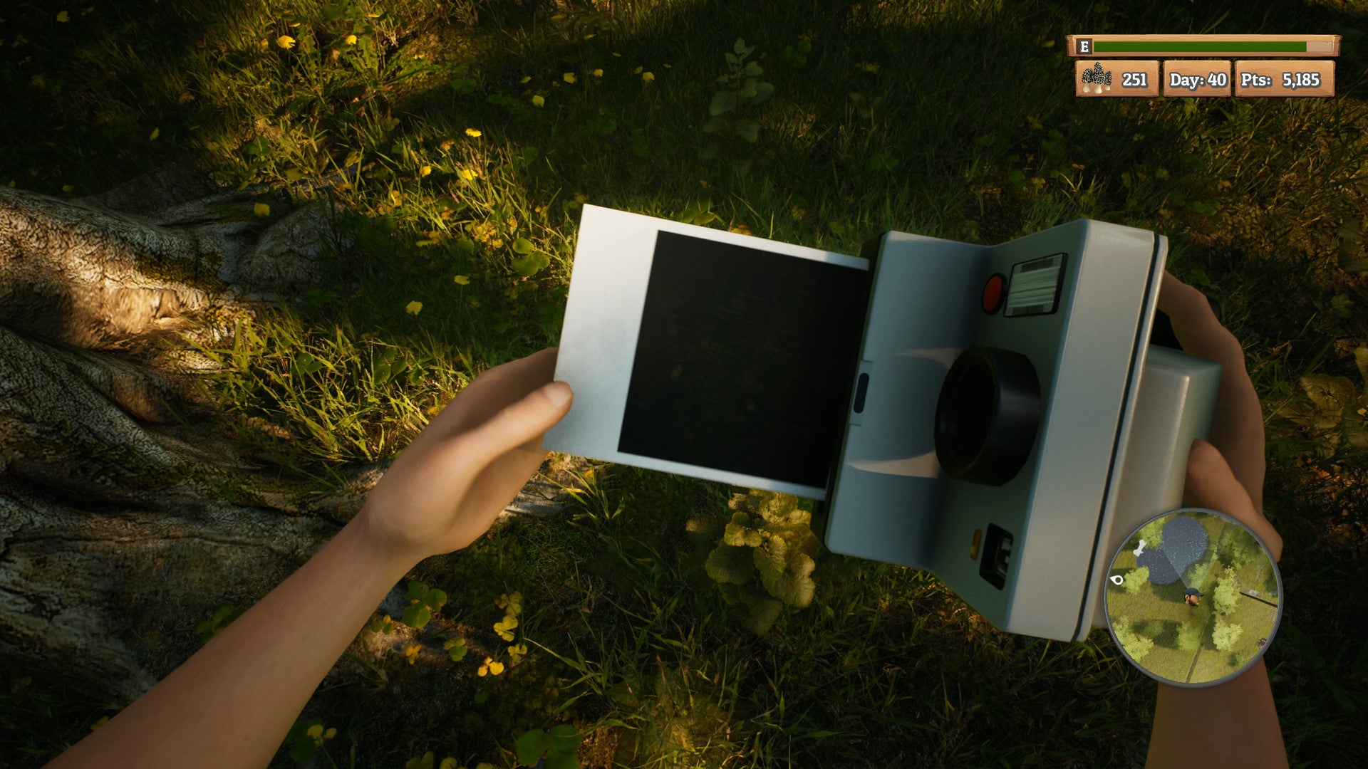 Morels: The Hunt | Rock Paper Shotgun