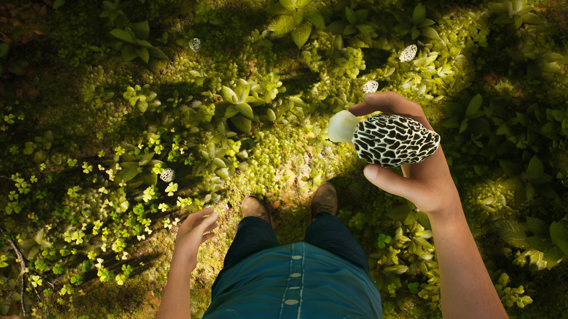 Morels: The Hunt | Rock Paper Shotgun