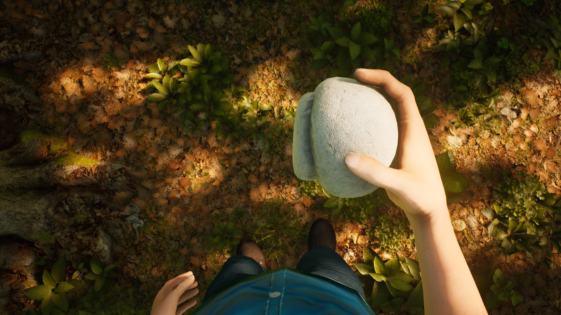 Morels: The Hunt | Rock Paper Shotgun