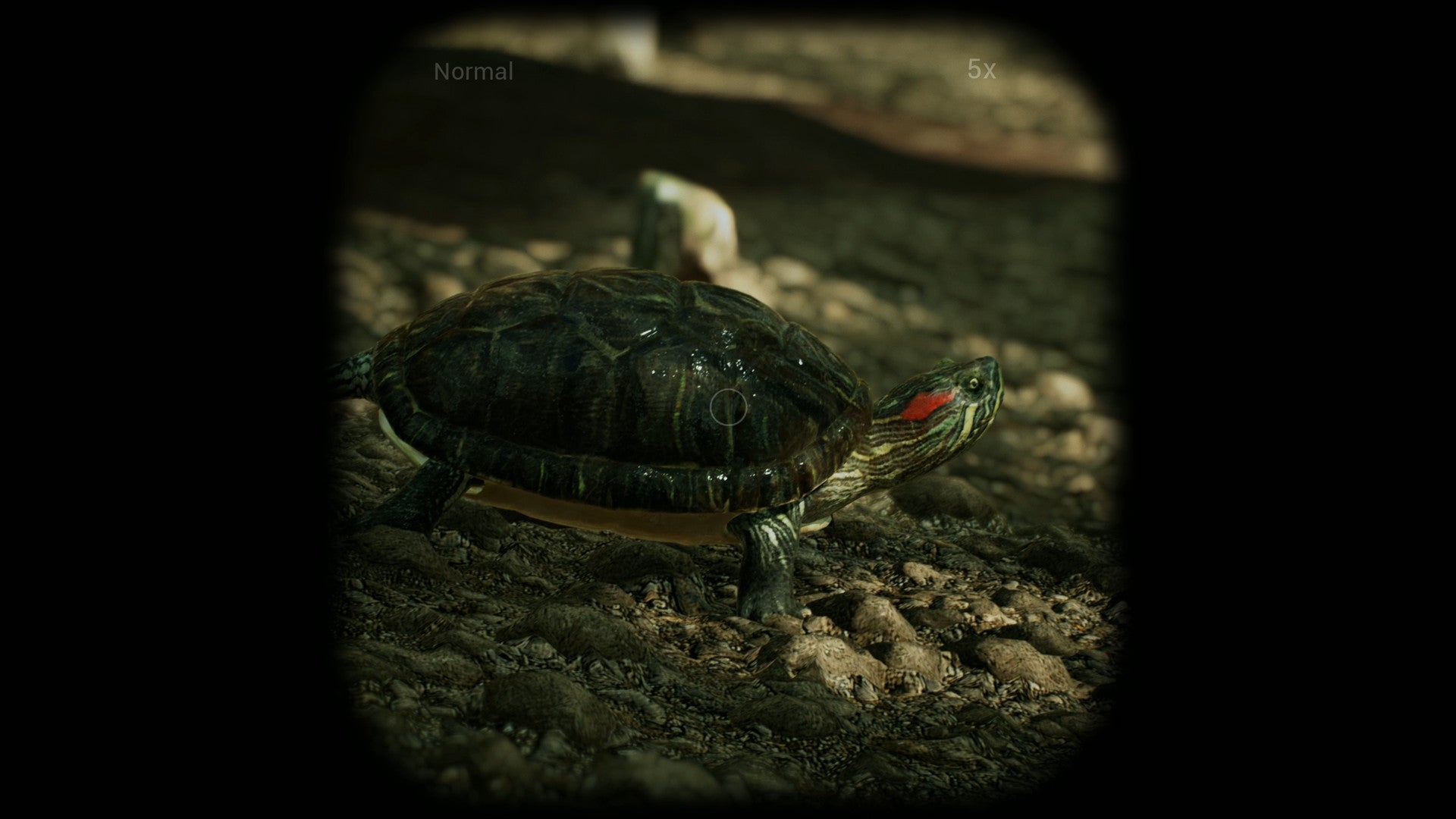 Morels: The Hunt | Rock Paper Shotgun