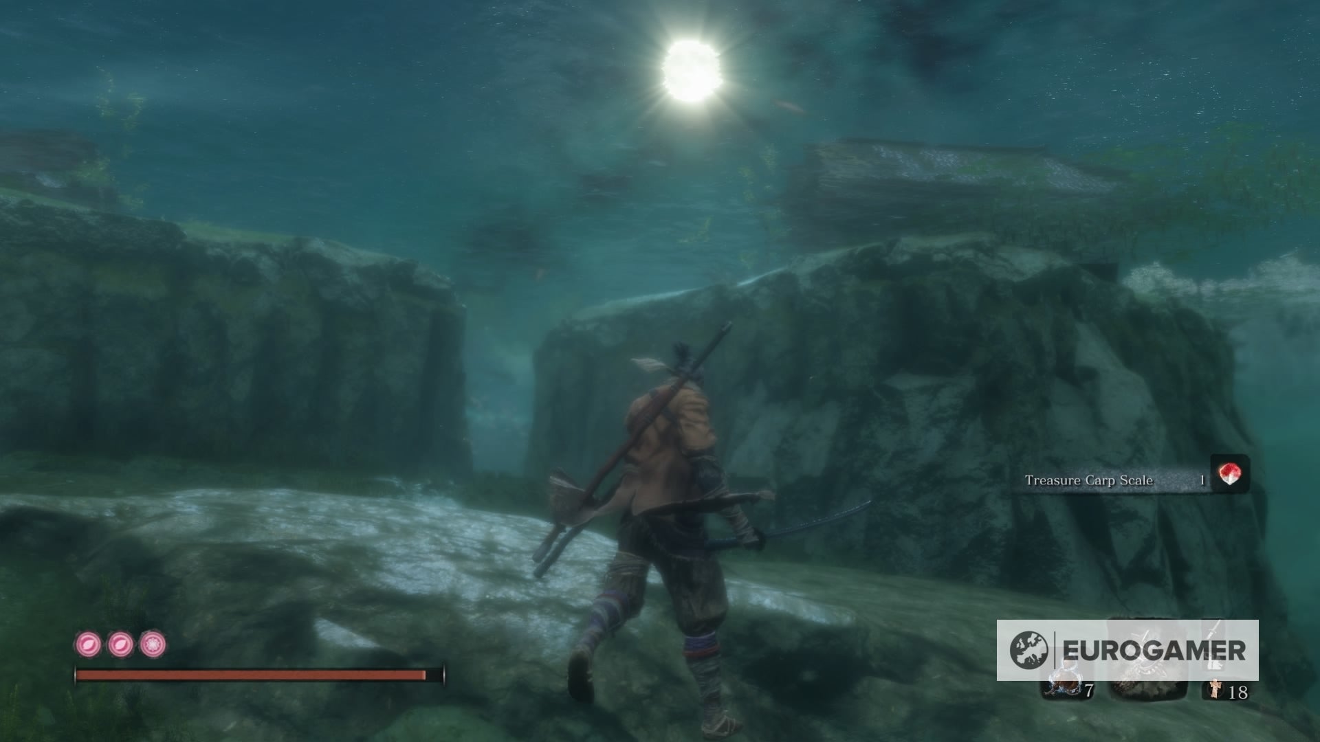 Sekiro Treasure Carp Scale locations - where to find all Treasure Carp ...