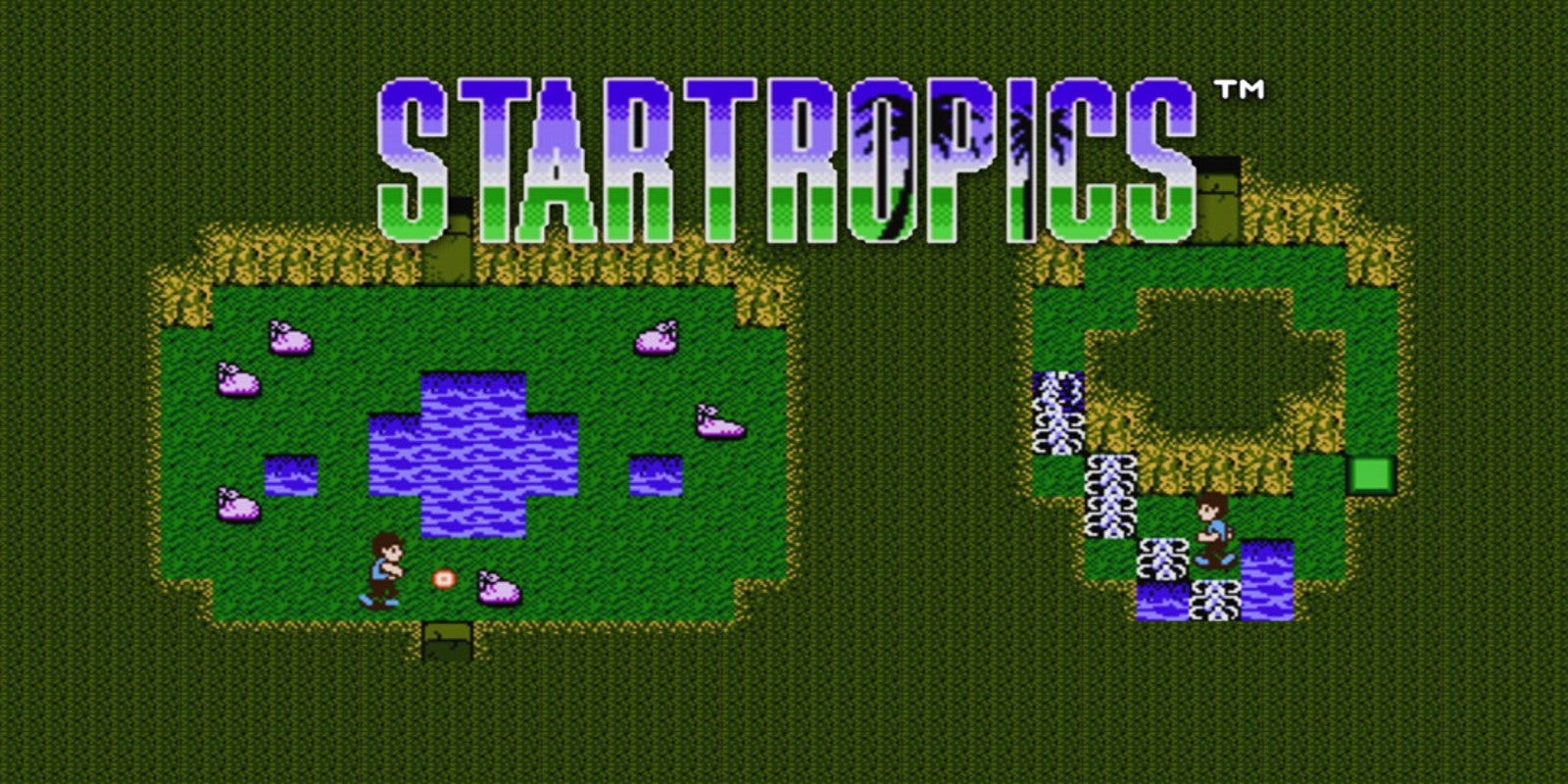 StarTropics | VG247
