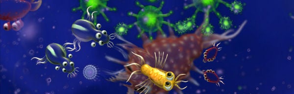 Spore: Cell Phase Trailer & Screenshots | Rock Paper Shotgun
