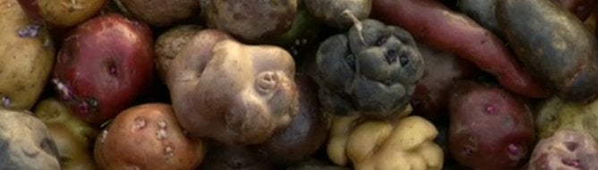 Rumor: More clues to Valve's ARG revealed? | VG247