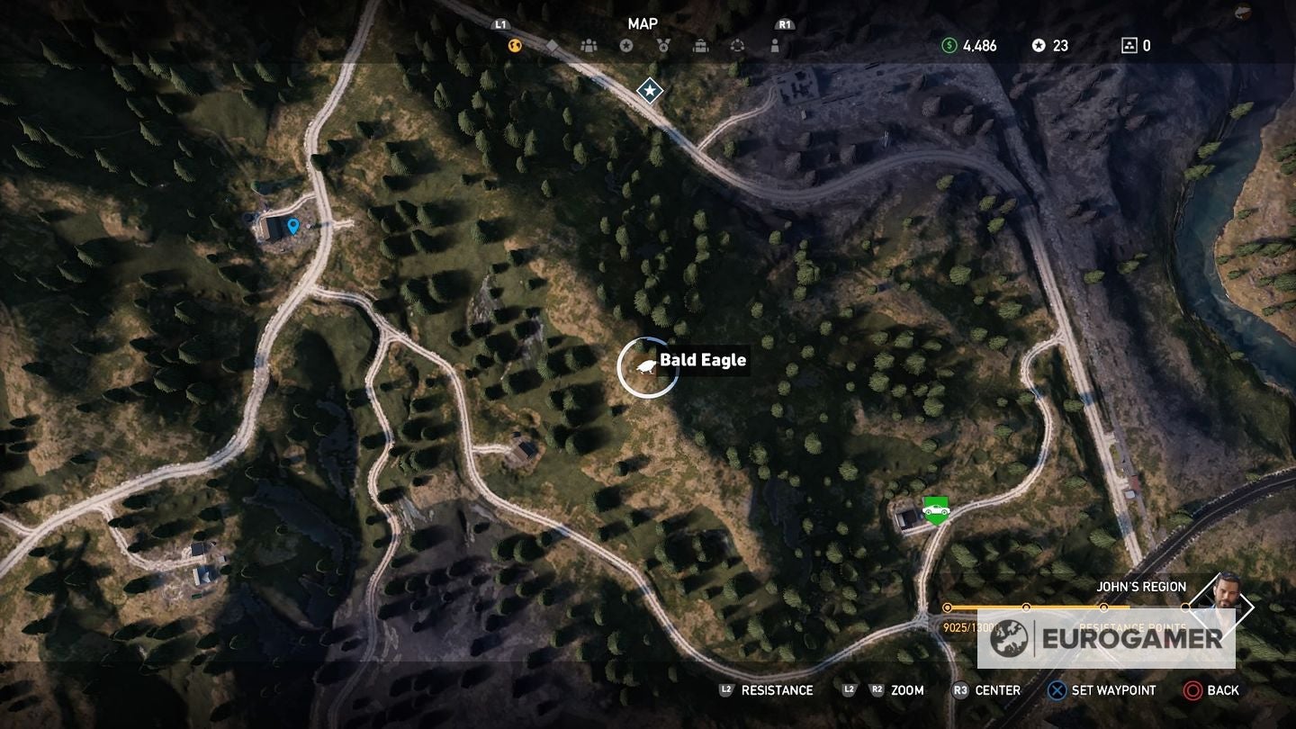 Far Cry 5 hunting: All animal locations, including bear, eagle, elk ...