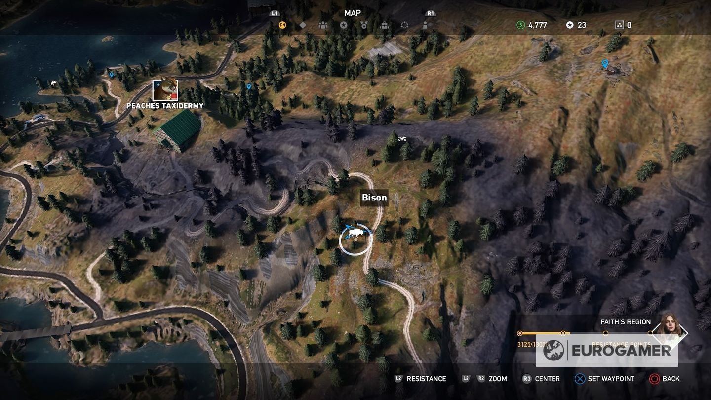 Far Cry 5 hunting: All animal locations, including bear, eagle, elk ...