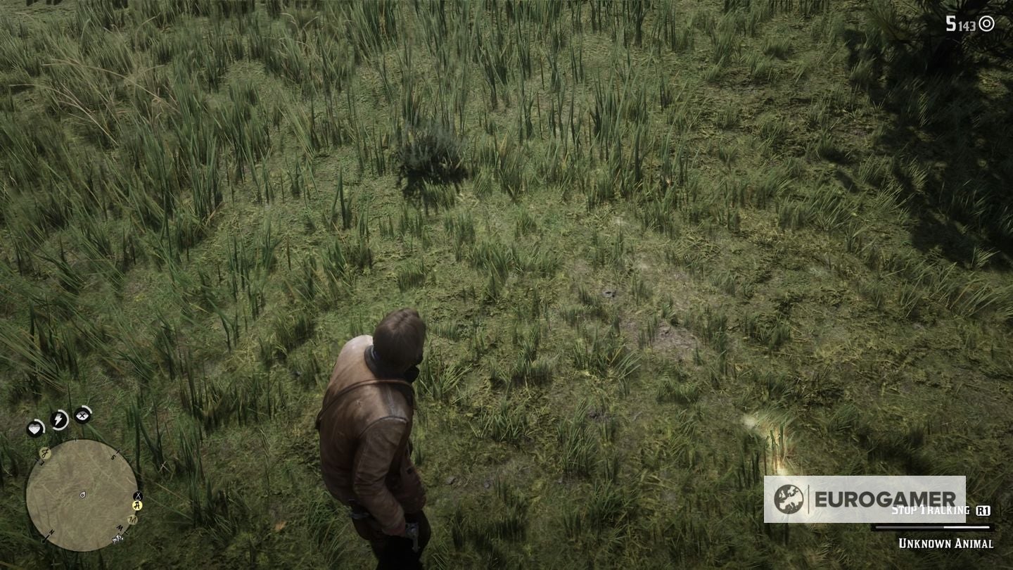 Red Dead Redemption 2 pelts - how to get perfect pelts, hides and skins ...