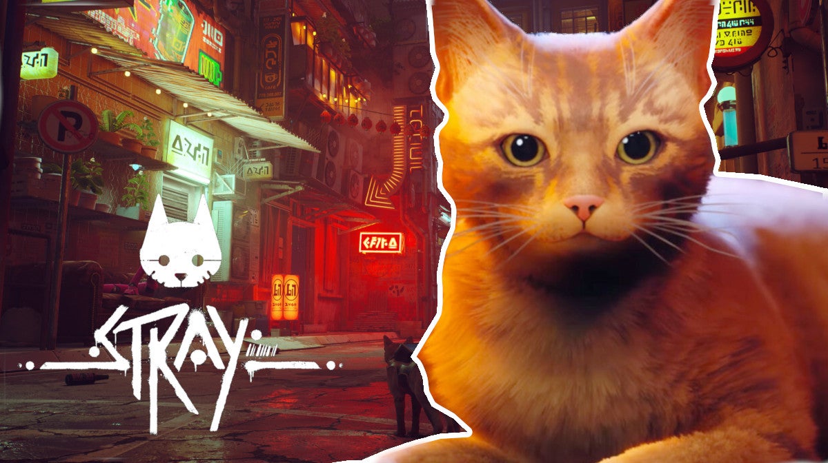 Recenzja Stray - najbardziej oczekiwana gra na Steamie to majstersztyk ...