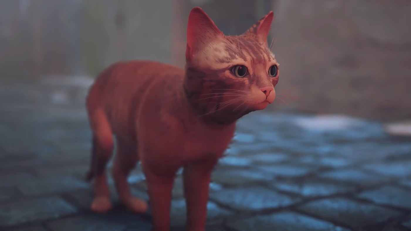 Stray's language has already been deciphered | Eurogamer.net