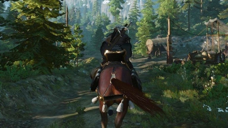 The Witcher 3 herb locations explained | Eurogamer.net