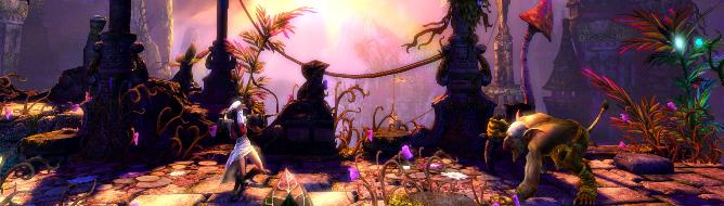 Pre-order Trine 2, access co-op multiplayer beta | VG247