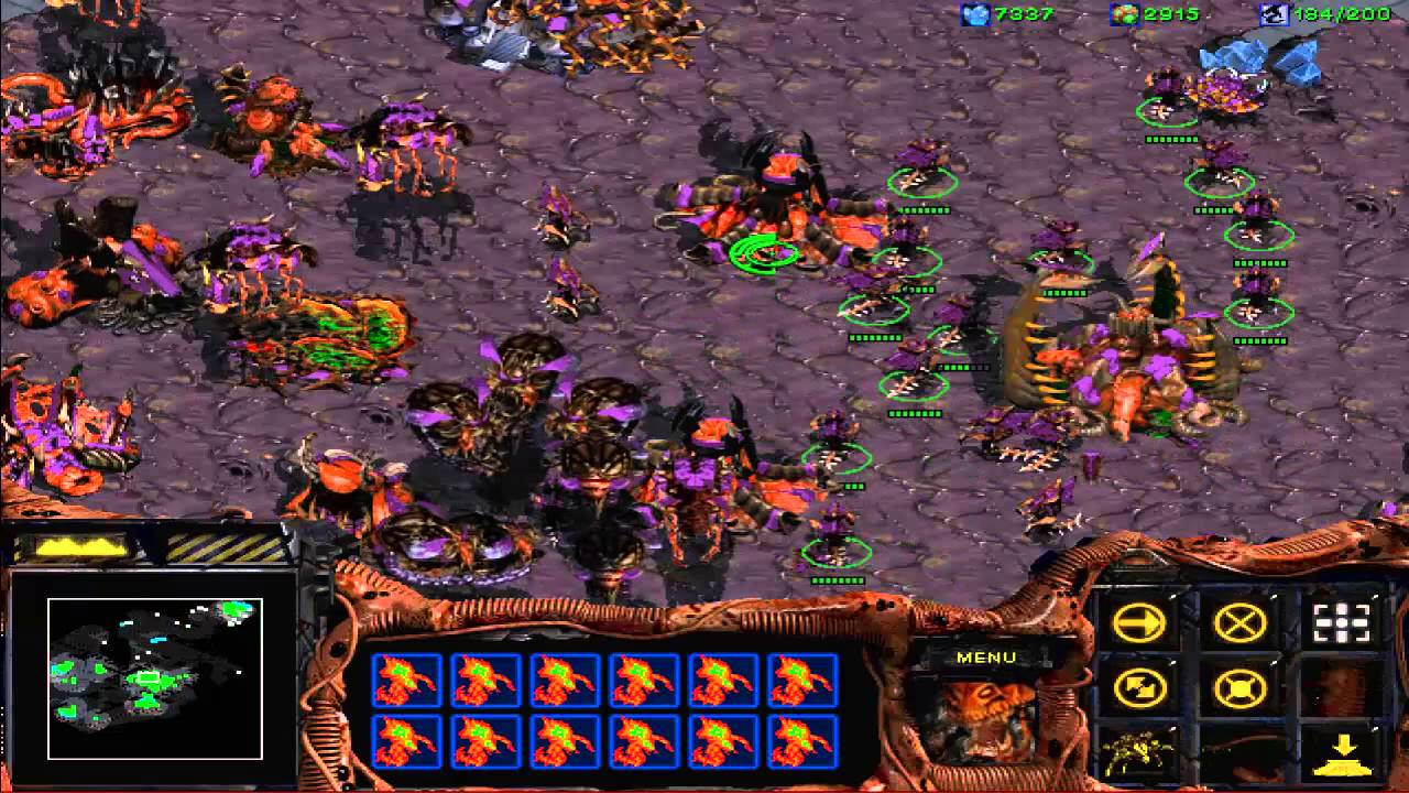 Starcraft 1 Overlord