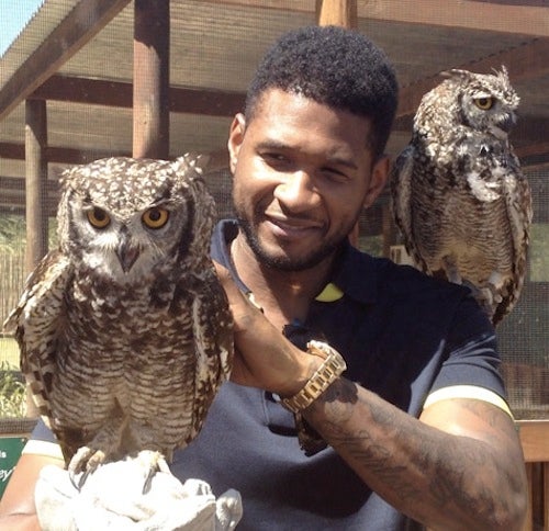 VG247 reinvigorated with new staff line-up | VG247