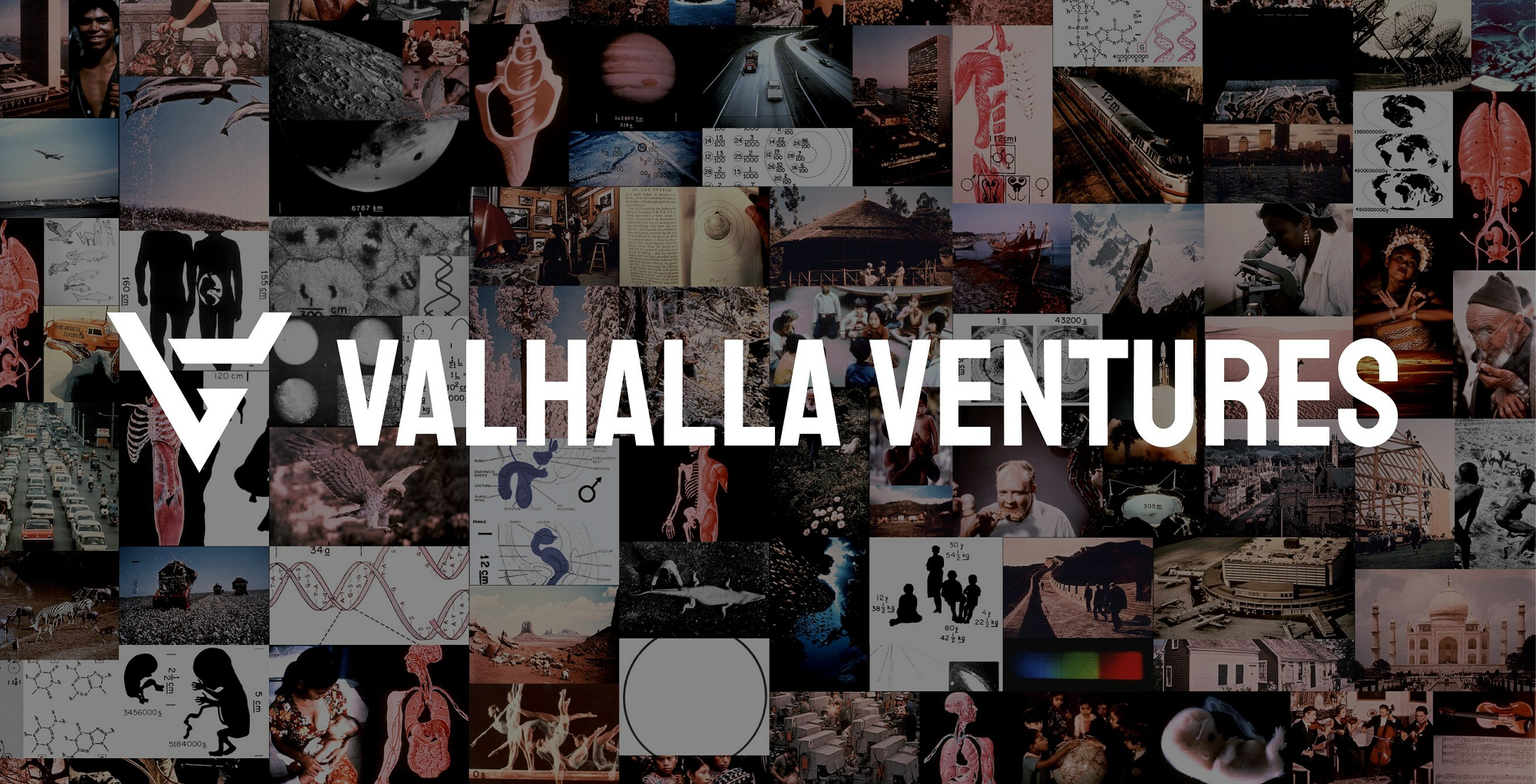 Valhalla Ventures launches $66m investment | GamesIndustry.biz