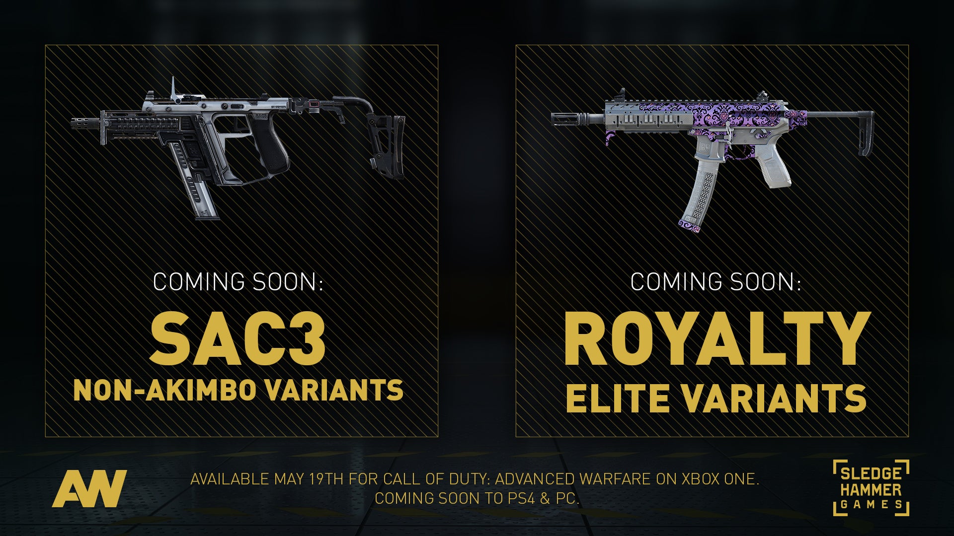 Advanced Warfare Guns Camo