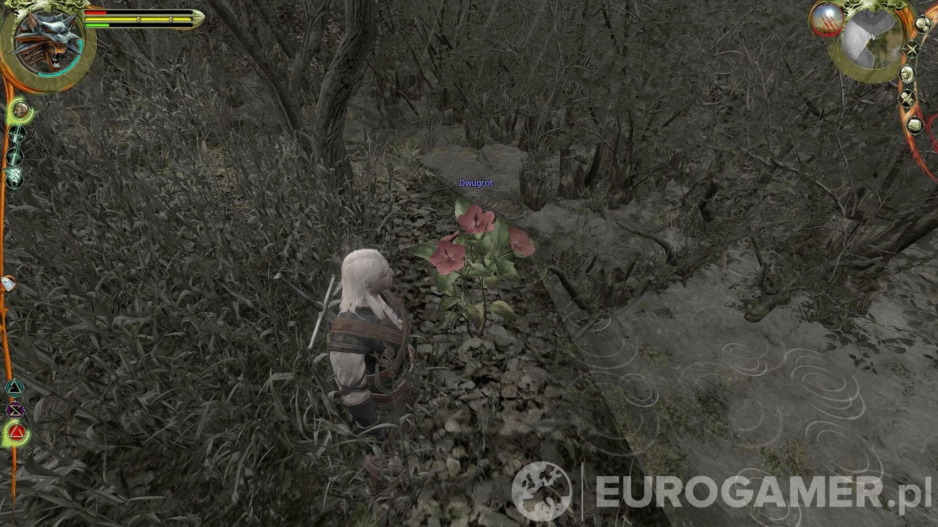 Wiedźmin 1 - Kwiaty i złoto: dwugrot, Yaren Bolt | Eurogamer.pl