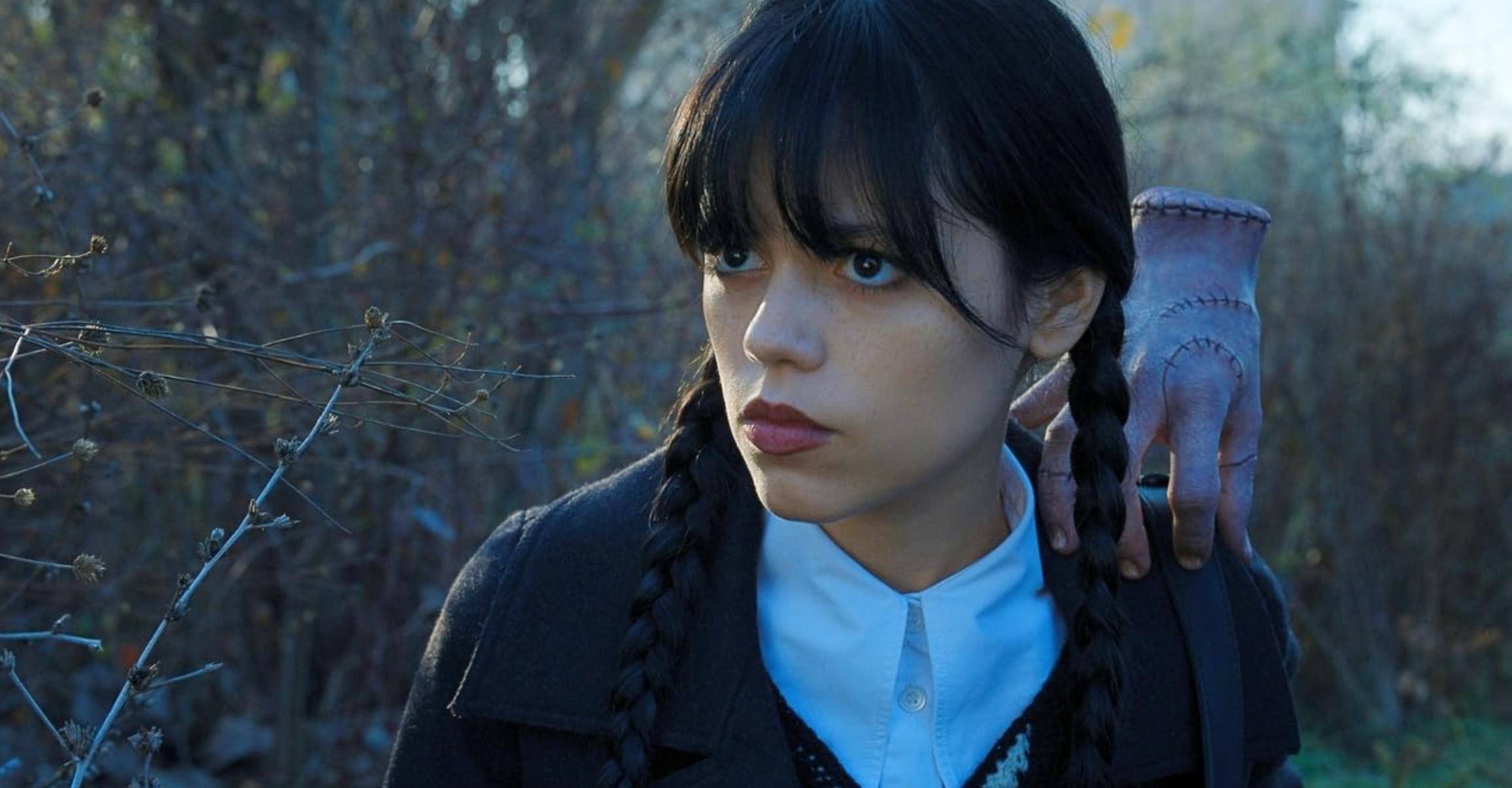 Wednesday season 2 release date: What is known about Netflix's plans ...