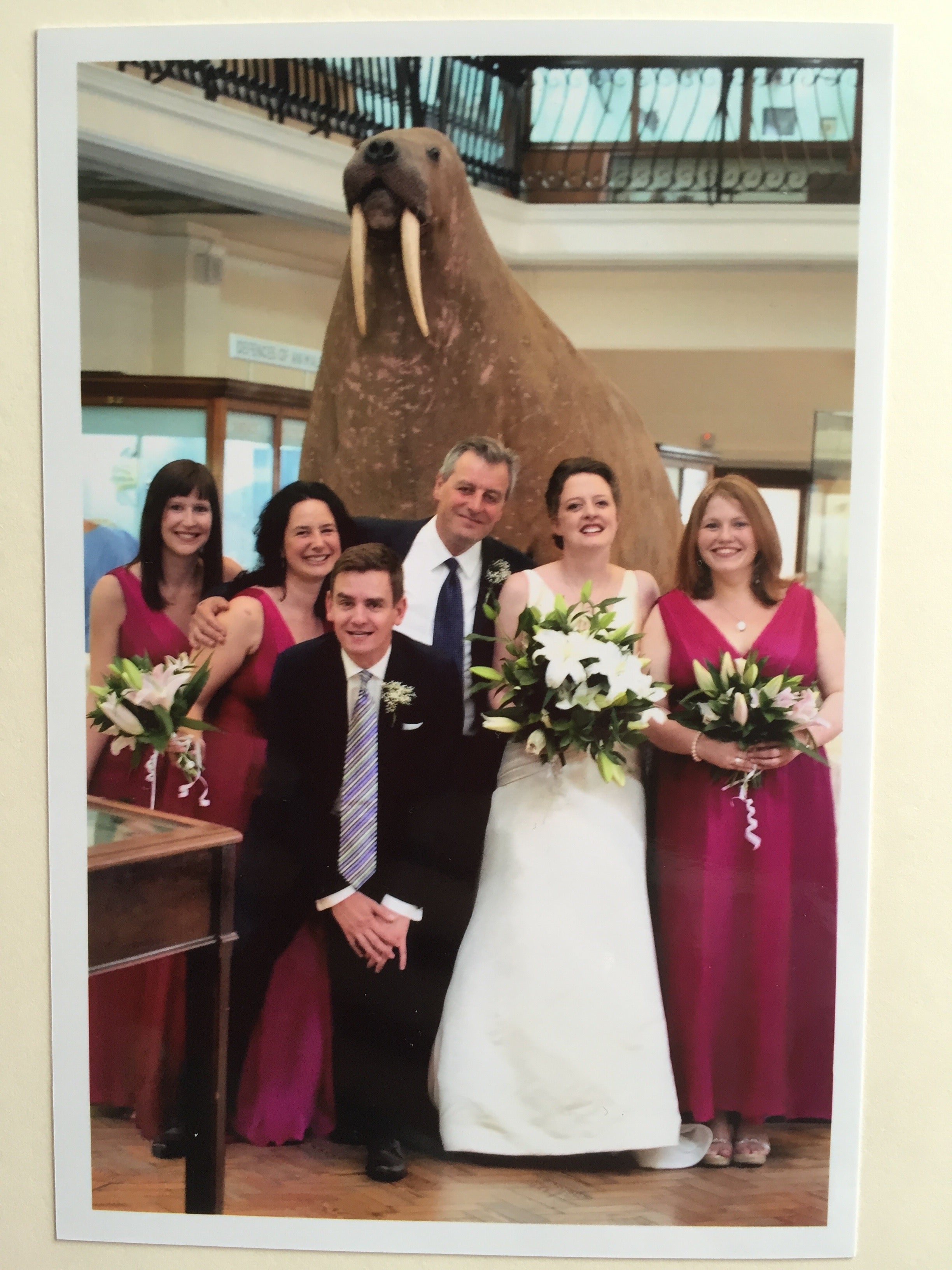 What have walruses and video games got in common? | Eurogamer.net