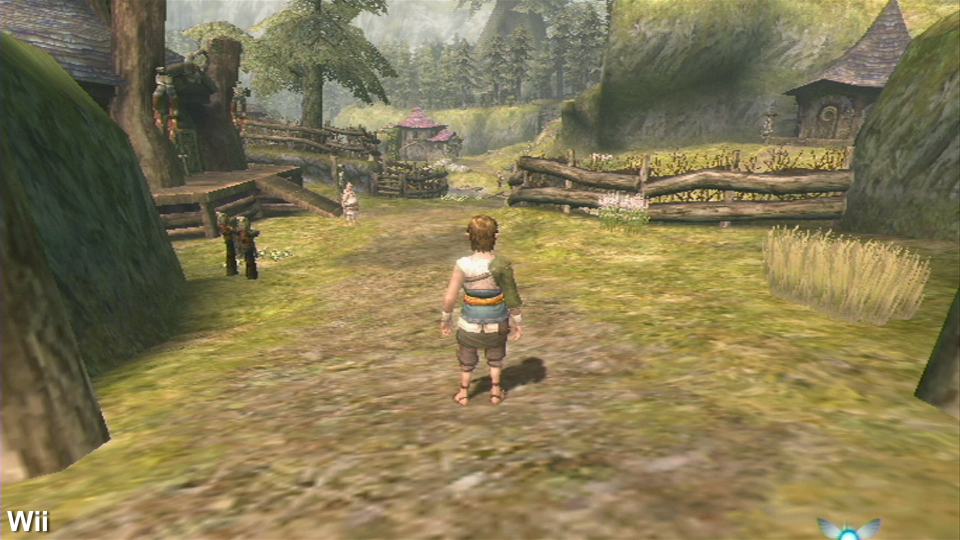 Zelda Twilight Princess Wii