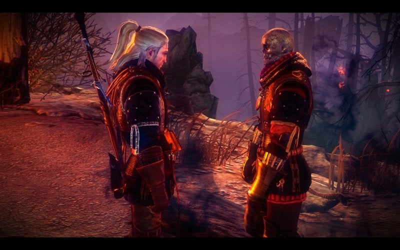 Witcher 2 Troll