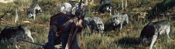 Witcher 3: Wild Hunt's new screens show beasts, combat & vistas | VG247