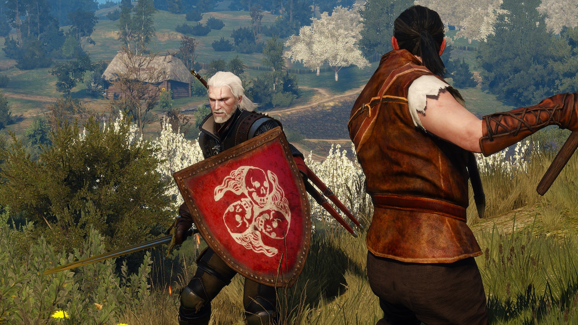 This Witcher 3 mod gives Geralt a shield | VG247