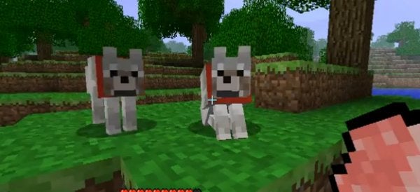 Wolves Minecraft
