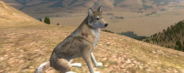 WolfQuest Is Go! | Rock Paper Shotgun