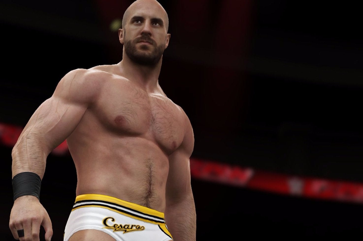 WWE 2K16 review | Eurogamer.net