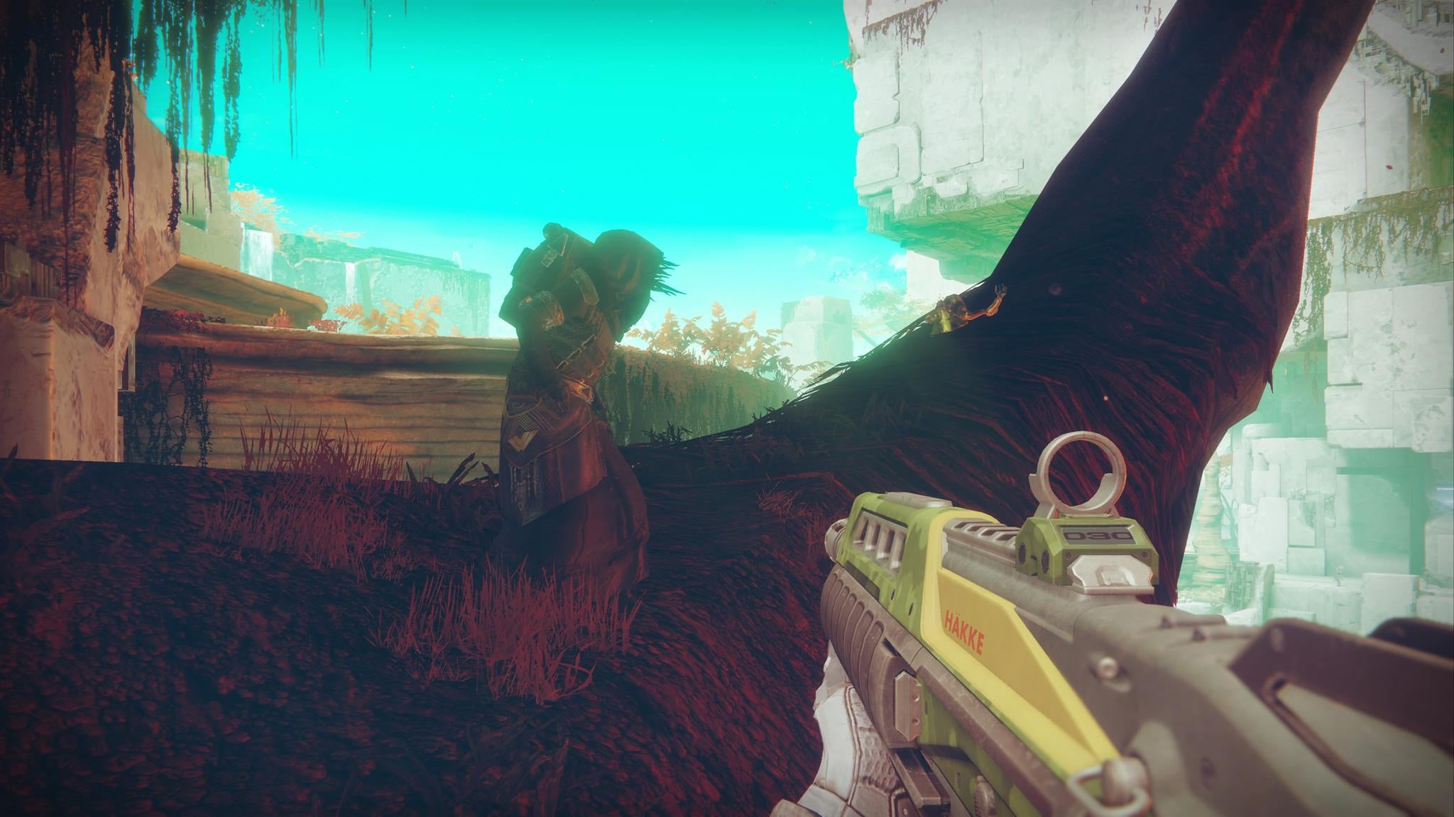 Xur makes Destiny 2 debut - and he's sitting in a tree | Eurogamer.net