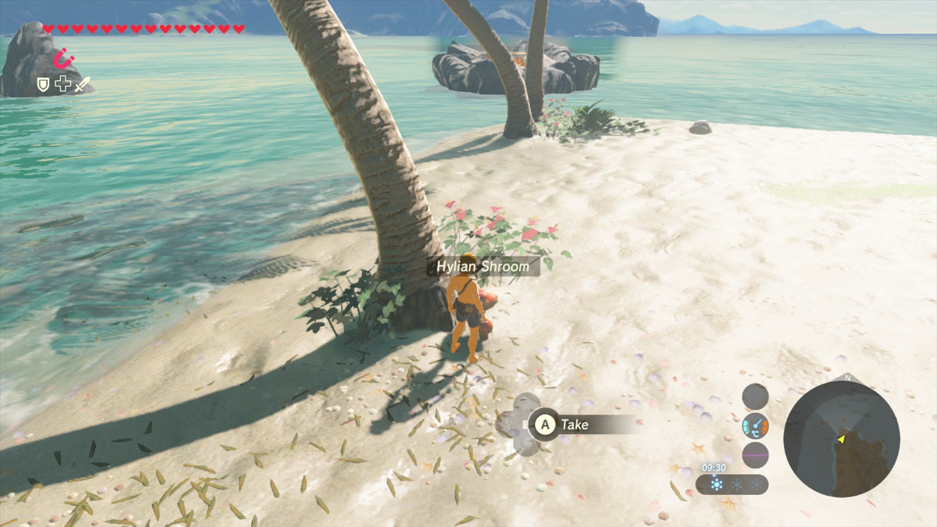 Zelda - Eventide Island, Korgu Chideh, and the Stranded on Eventide ...