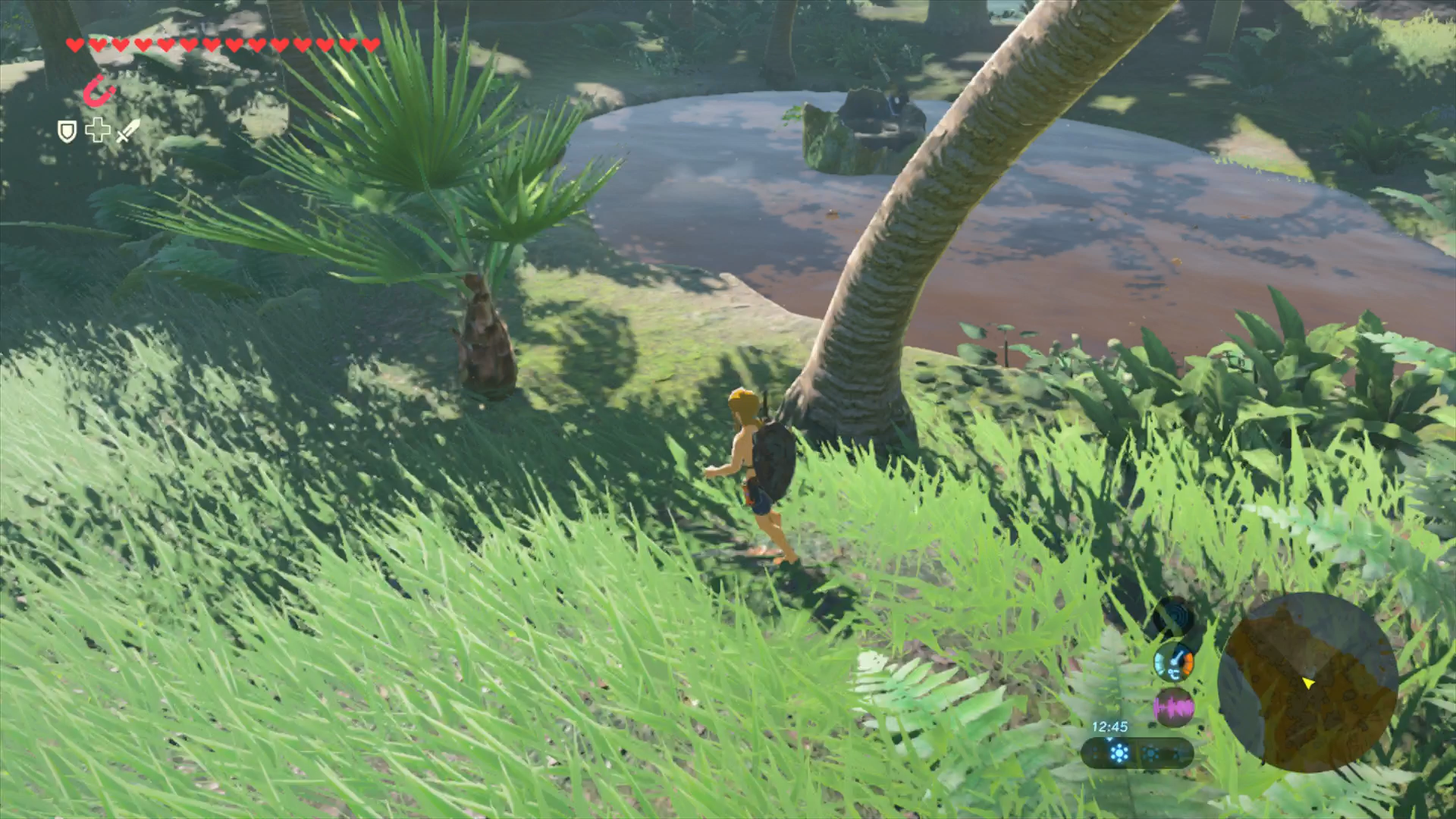 Zelda - Eventide Island, Korgu Chideh, and the Stranded on Eventide ...